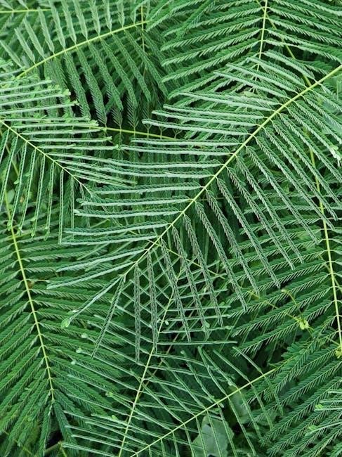 Tennant T7 Service Manuals - Get Your Machine Running Smoothly!